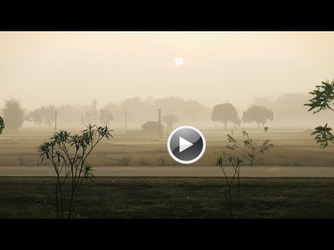 Morning View of a Village, Odisha, India, Video