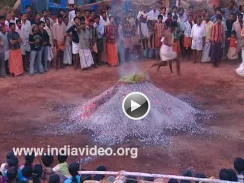Fire walk- A ritual, Rituals, Hindu, India, Kerala Video