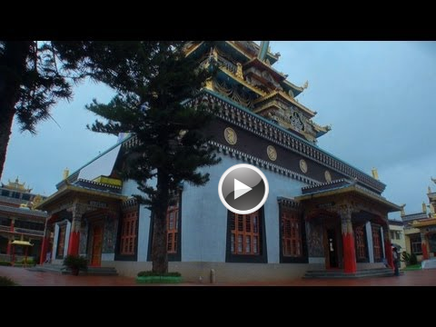 Temple dedicated Tara, Golden temple, Tibetan Settlements, Buddhist ...
