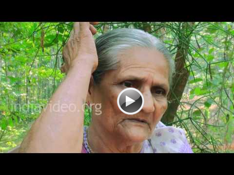 Folk medicine for respiratory aliments - Somalatha, Ayurveda, Folk ...