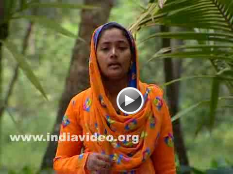 Mappila Songs, Tradition, Muslim Community, Music, Kerala, India, Video
