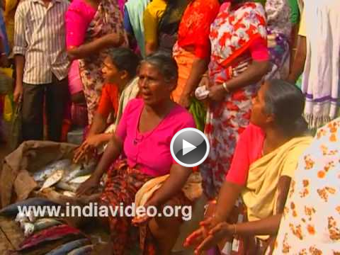 Busy bargaining, Pulluvila fish market, Village Life ...