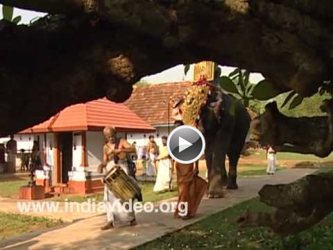 Thrissur Pooram Procession, Neithilakkavu Temple, Trichur, India ...