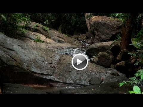 Kallar River, Thiruvananthapuram, Ponmudi hill station, Kerala, India ...