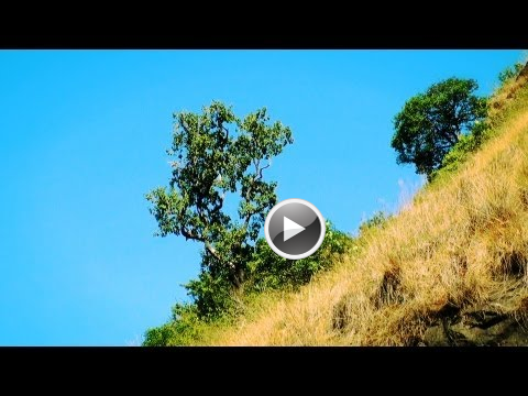 Silent Valley National Park, Silent Valley Forest, Mannarkkad, Palakkad ...