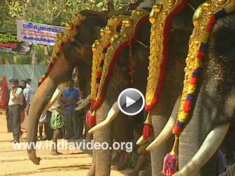 Parippally Gajamela, pageant of caparisoned elephants, Kollam ...