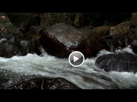 Sound of River, Sound clip, Audio clip, Sound effect, Video