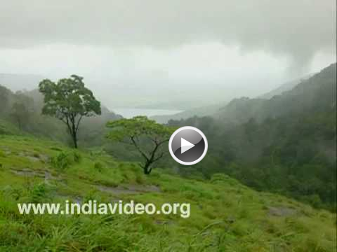 Misty Nelliyampathi hills, Hill Station, Palakkad, India, Kerala Videos