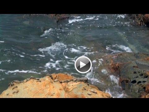 German Jetty, Mayabunder, Andaman and Nicobar Islands, Union territory ...