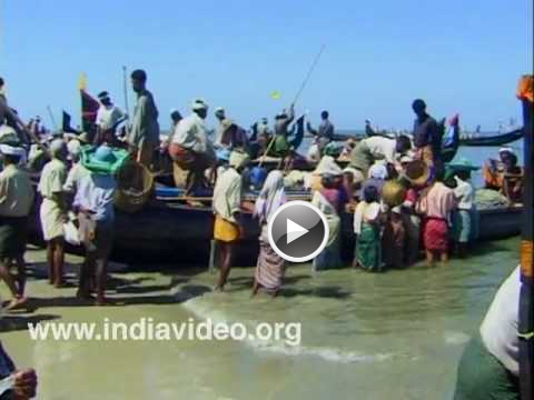 Chakara -shoals of fishes near the shore, Monsoon Season, India, Kerala ...
