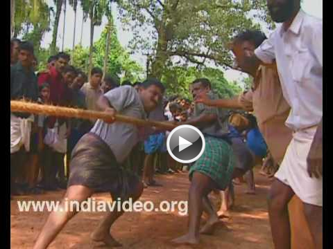 Tug of War during Onam Season, Festivals, India, Kerala Videos